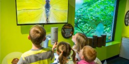 North Museum of Nature and Science - Lancaster, PA