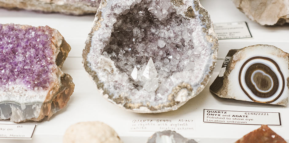 Exhibits - North Museum