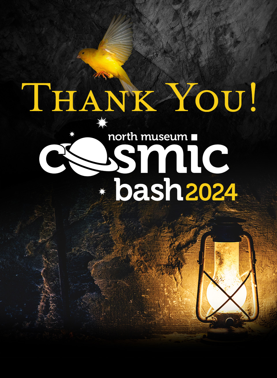 Cosmic Bash - North Museum